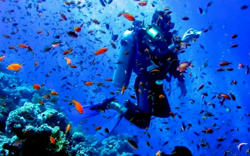 Andaman Scuba Diving Packages | Explore Top Underwater Adventures